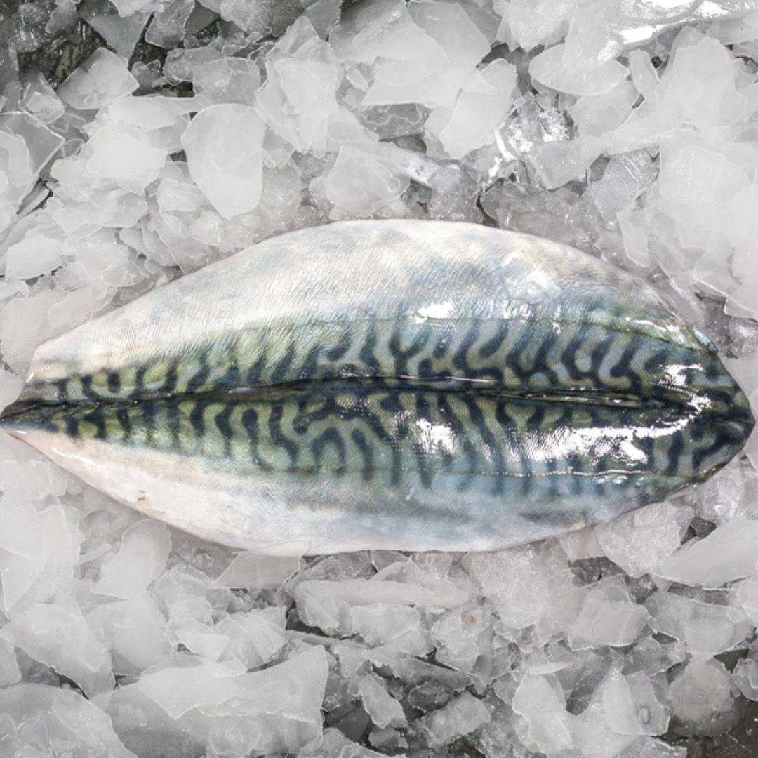 Butterflied Cornish Mackerel | Fresh Sustainable Fish Delivered Cornish ...