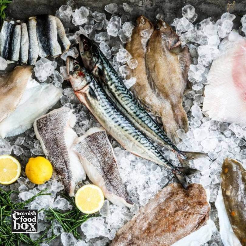 Cornish Fish Box Small | Finest Fresh Fish Box Delivered Cornish Food ...
