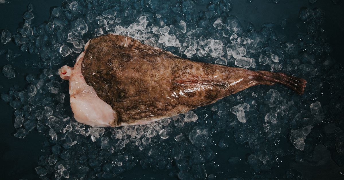 Monkfish Recipes | How to cook monkfish | The Cornish Food Box Company